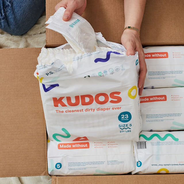 Kudos Diaper Box - One-Month Supply of 100% Cotton-Lined, Chlorine-Free ...