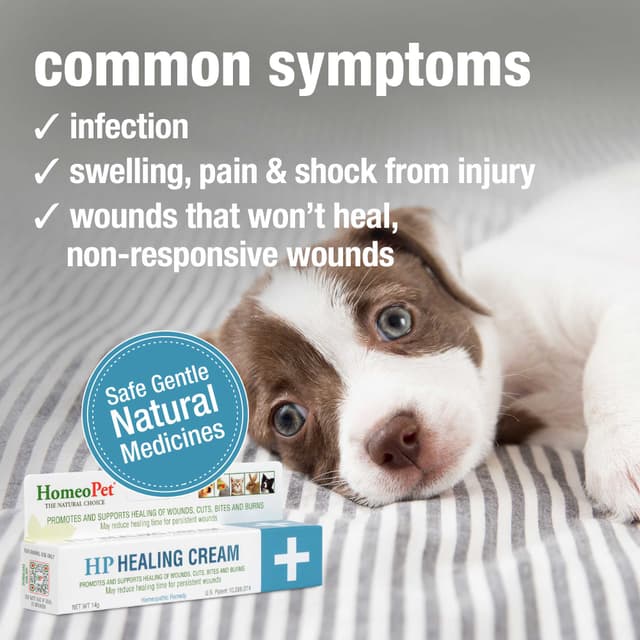 HP HEALING CREAM - Natural Support for Wound Healing in Pets - 14 g Cream