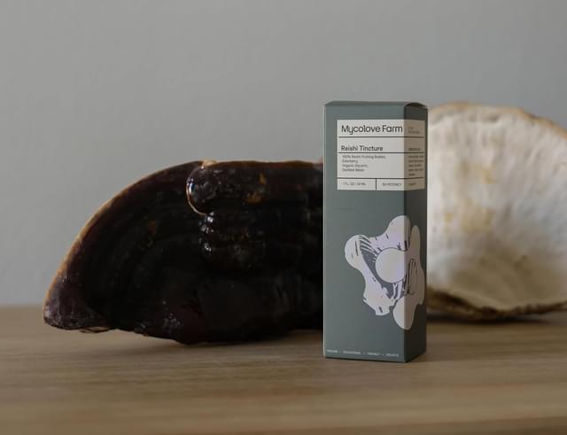 Organic Reishi Mushroom & Elderberry Tincture, Natural Balance & Boost ...