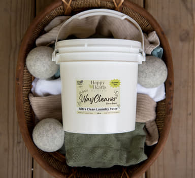 WayCleaner Ultra Clean Colloidal Silver Laundry Paste - Economy Pail ...